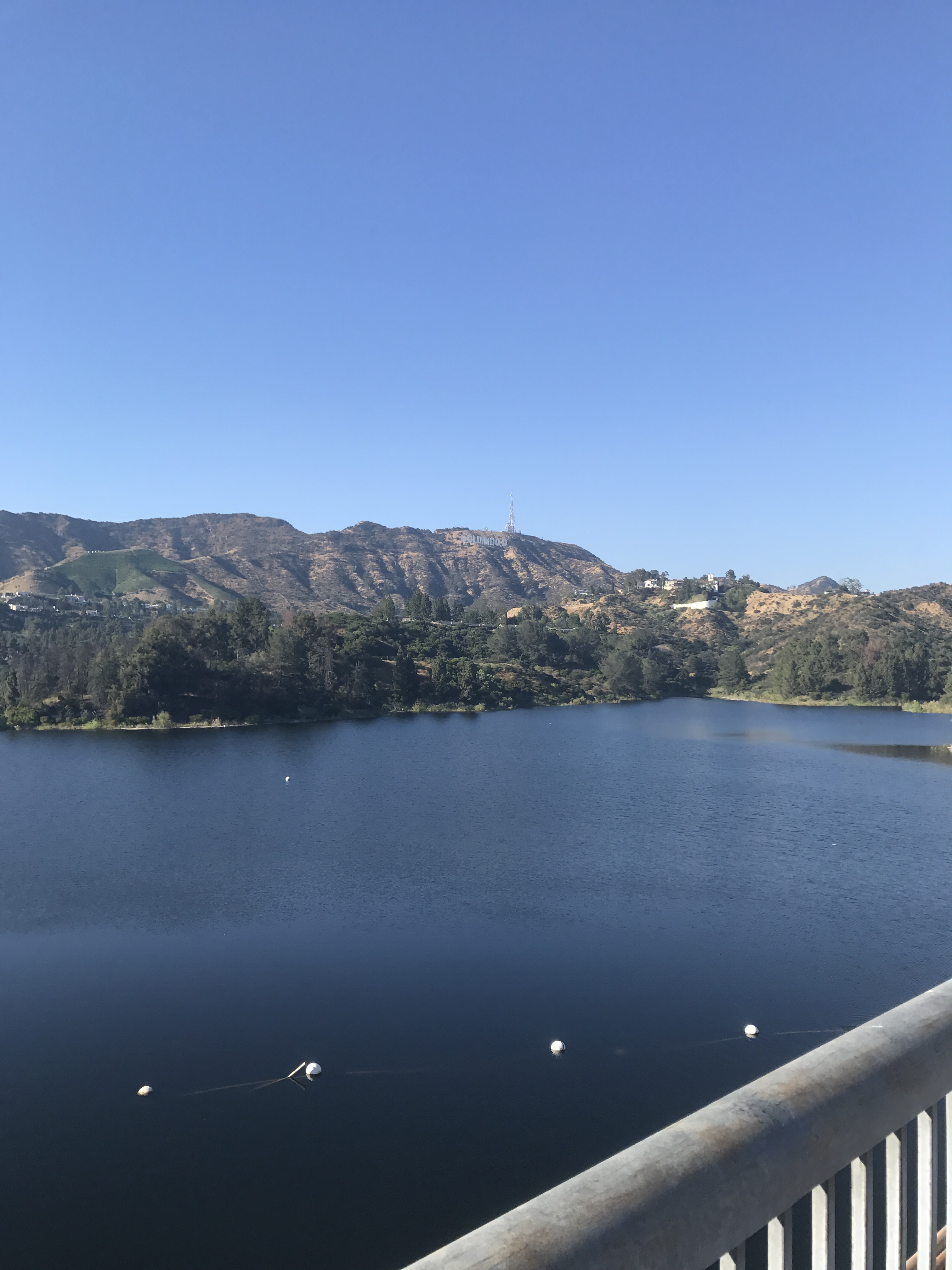 Searching for happiness? – Tristana Webster